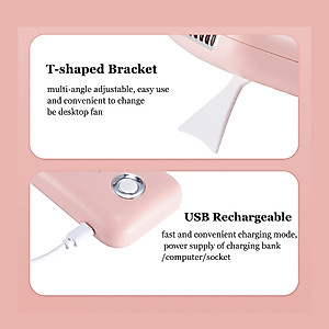 Eyelash Extension Cleanser Eyelash Fan, AREMOD 50ml Lash Shampoo for Lash Extensions 50pcs Eyelash Brush Cleaning Brush Makeup Remover Pad and Rinse Bottle for Lash Cleaning for Salon Home Use(pink)