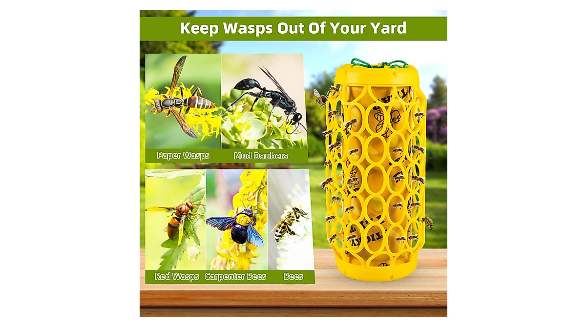 Effective Sticky Fly Traps for Wasp and Bee Control