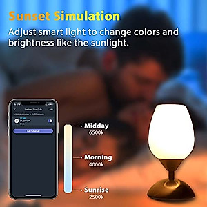 LUMIMAN Smart Light Bulbs That Works with Alexa and Google Home E26 A19, 800 Lumen, WiFi LED Light Bulb Dimmable Warm White& Cool White (2700K-6500K) 7W, No Hub Required, 2 Pack