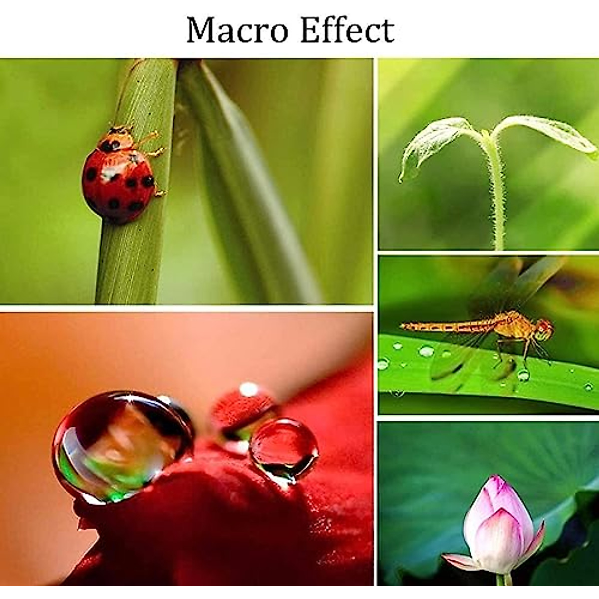 Universal Clip Lens - 3 in 1 Cell Phone Camera Lens Kit Wide Angle Macro Fisheye Lens Universal for Smart Phones