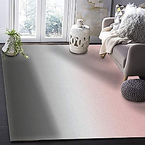 Area Rug Door Mat Gray and Pink Gradient Indoor Floor Carpet for Living Room Bedroom Home Decor Modern Contemporary Rug