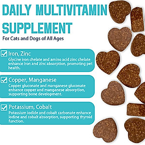 Pet Nutritional Supplement Trace Minerals Soft Chews for Dogs& Cats of All Ages, Cobalt, Manganese, Potassium, Iron, Zinc, for Immune System, Metabolism, Skin and Coat, 9.17oz/260g (170 Chews)