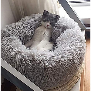 BODISEINT Modern Soft Plush Round Pet Bed for Cats or Small Dogs, Mini Medium Sized Dog Cat Bed Self Warming Autumn Winter Indoor Snooze Sleeping Cozy Kitty Teddy Kennel (24'' D x 8'' H, Light Grey)