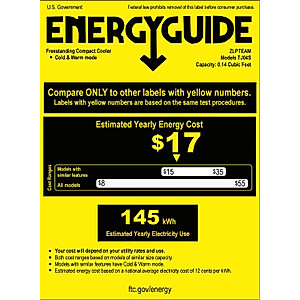 ZLPTEAM Mini Fridge 4 Liter, Mirror Mini Fridge, Skin Care Fridge, Beauty Fridge