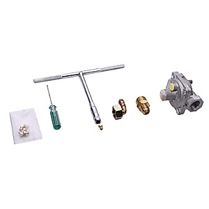 12 Inch Gas Cooktop, Built-in Stainless Steel 2 Burners Gas Stovetop LPG/NG Convertible Gas Stove Dual Fuel Gas Hob for RVs, Apartments, Outdoor DT223-01