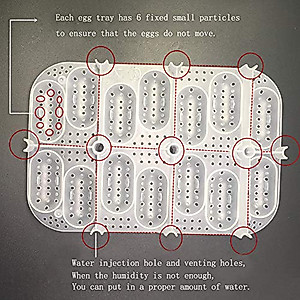 OMEM Reptile Breeding Box Reptile Lizard Incubation Box, Hatchery Box, Suitable for Hatching Snake, Lizards, Lions Mane, Reptiles (Random Color)
