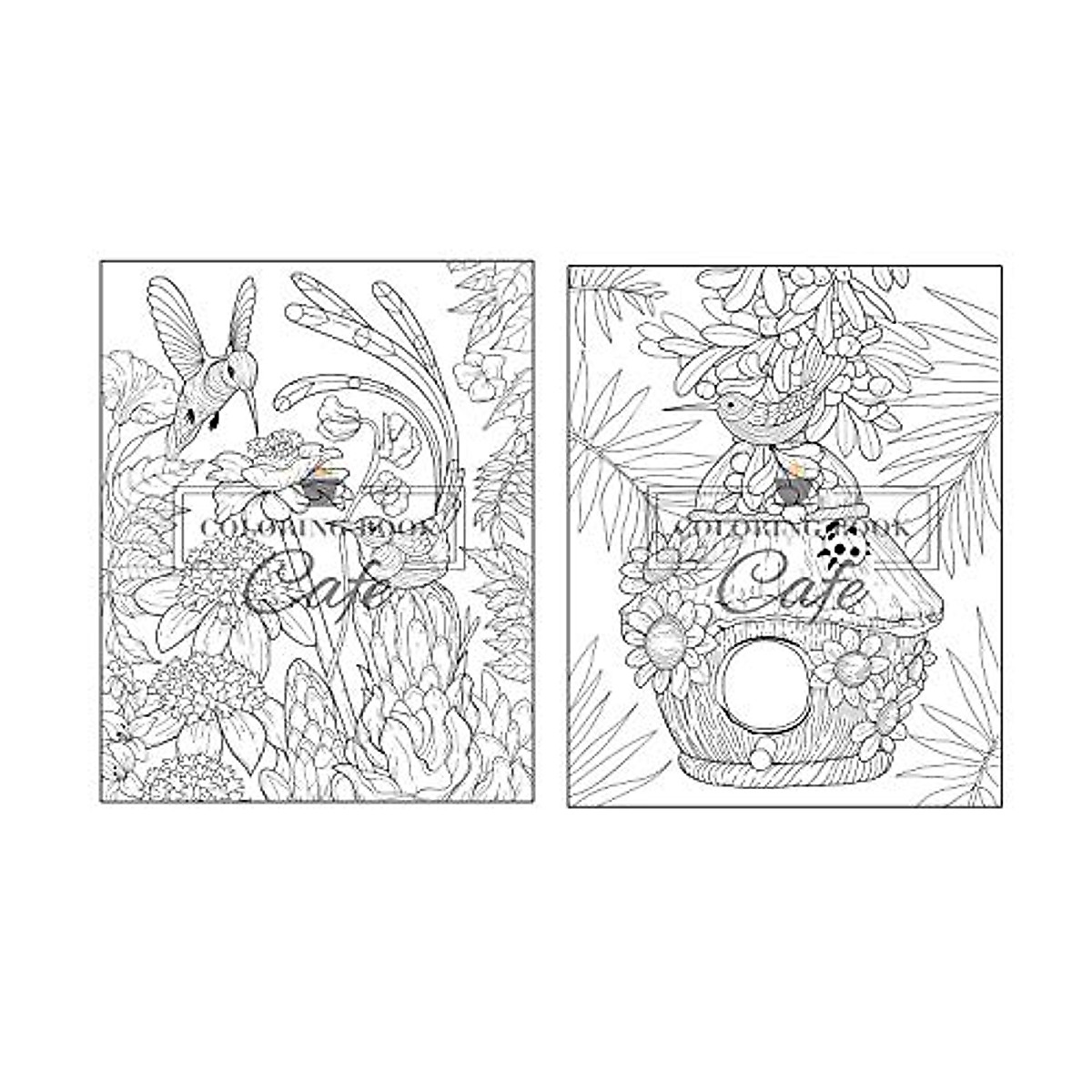 Hummingbird Coloring Book: An Adult Coloring Book Featuring Charming Hummingbirds, Beautiful Flowers and Nature Patterns for Stress Relief and Relaxation