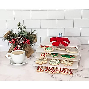 Cookie and Cake Carrier Container with Handle and Lid 4 Trays Cupcake Storage Transport Holder Box 2 Devil Eggs Trays Included