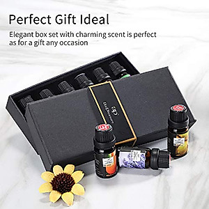 ap airpleasure Water-Based Purifier Air Washer, Revitalizer with 6 Colorful lights- Plus Lavender, Orange, Citronella,Lemon, Breathe Easy, Jasmine & Camellia, 10ml Each