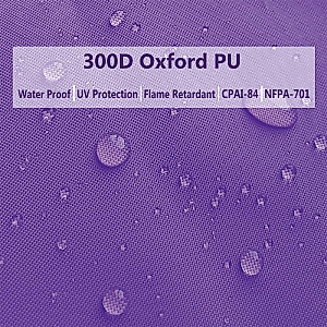 Tistent 10'x10' Pop Up Canopy Tent Commercial Instant Shelter with Heavy Duty Carrying Bag, 4 Canopy Sand Bags Purple