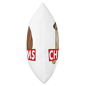 Doge Cheems Shiba Inu Meme Throw Pillow, 16x16, Multicolor