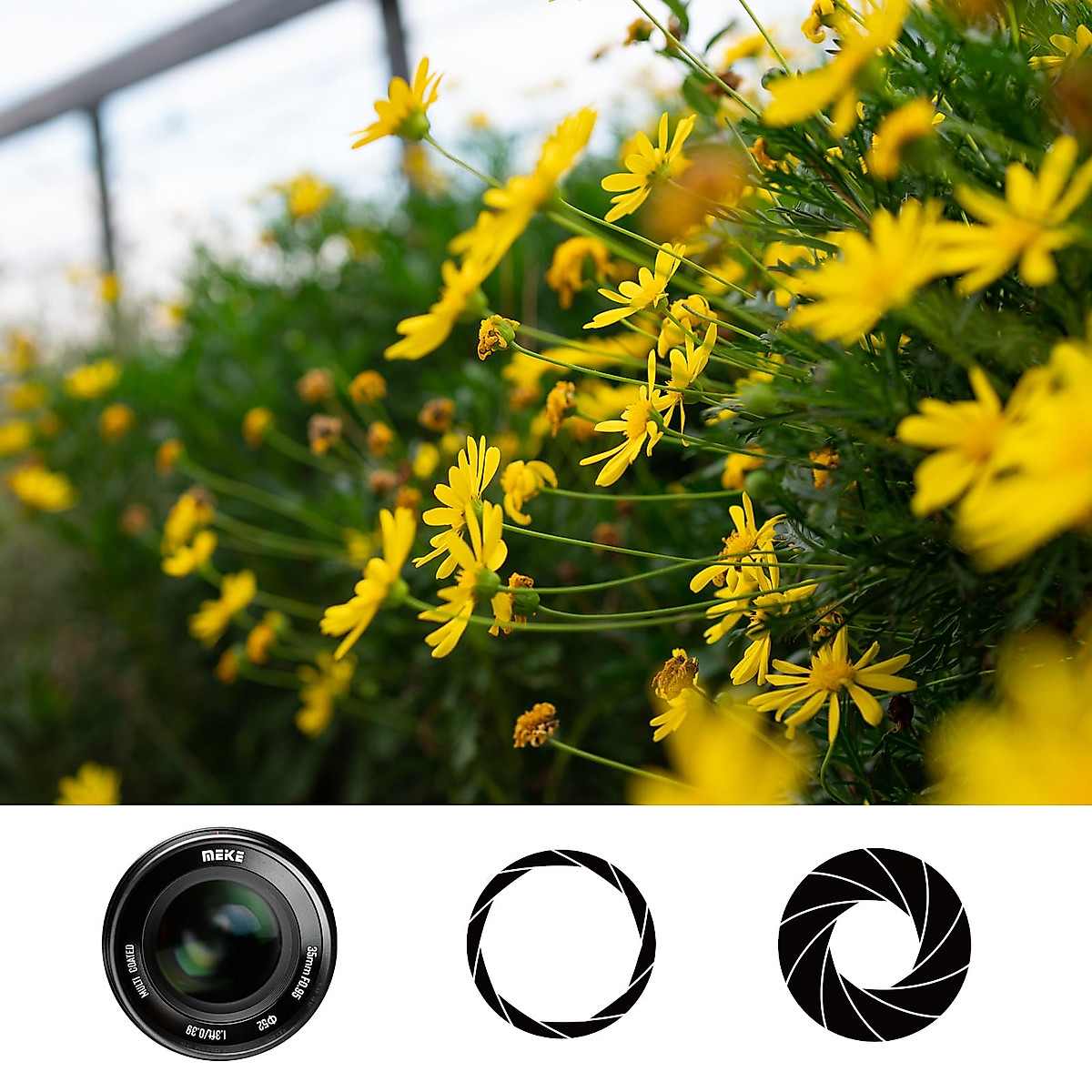 Meike 35mm f0.95 Large Aperture Manual Focus Prime Fixed Lens APS-C Compatible with Panasonic Lumix Olypums M43 Mount Mirrorless Cameras GH4 GH5 GH6