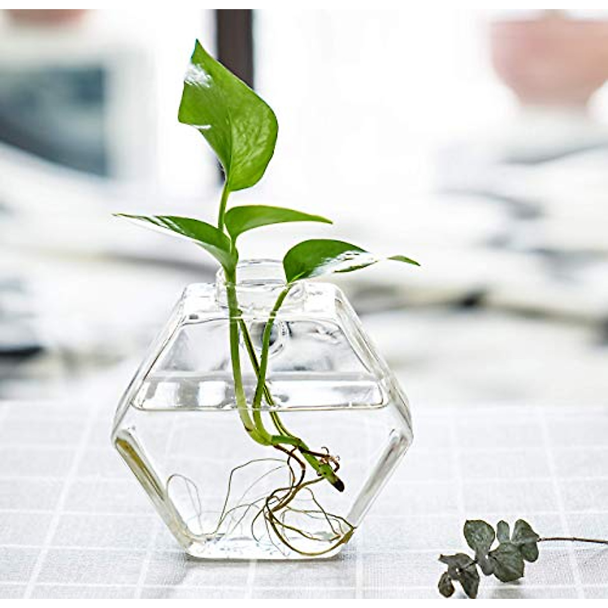 Kingbuy Wall Hanging Glass Planter Propagation Terrarium Hexagon Shape Flower Vase for Home Office Decor, Plant Lover Gifts, 3 Pack, Medium