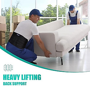 FITBELTZ Back Brace for Men and Women Back Belt for Lower Back Pain Relief, Herniated Disc, Sciatica and Scoliosis, Breathable Mesh and Adjustable Lumbar Lower Back Support Belt