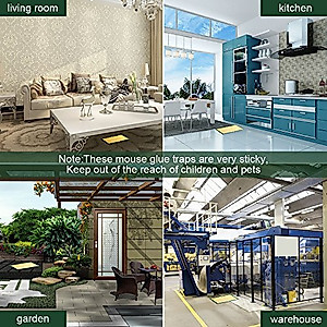 Kensizer 12-Pack Mouse Rat Glue Trap, Super Sticky Adhesive Glue Board Traps for Mice Rats Catches Indoor&Outdoor, Trampas para Ratones, Extra Strength Heavy Duty Large Size Pads