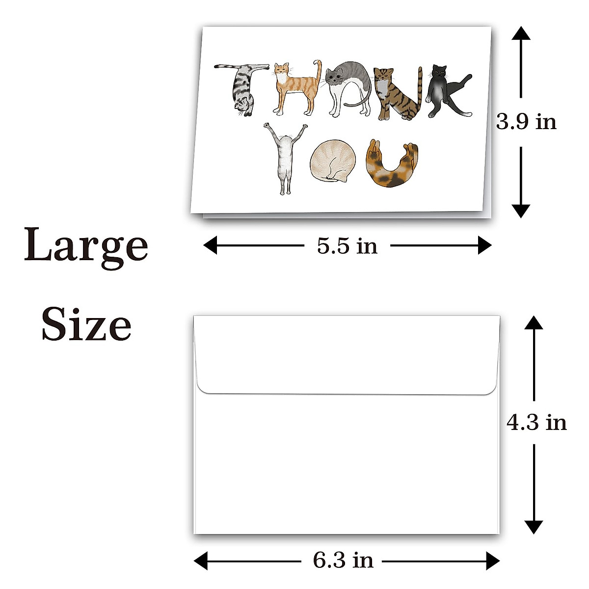 Cat Thank You Cards (6 Packs), Alphabet Thank You Cards for Cat Lovers