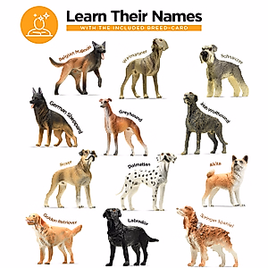 stargo Friendly Dog Figurines for Kids and Toddlers - Plastic Dogs Set of 12 Realistic Play Figures - Non-Toxic Cake Topper, Farm Animal Figurines, 3.5"x5", Age 3+