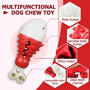 GHOBROFY 5 Pack Dog Chew Toys for Aggressive Chewers-Durable Dog Toys for Small and Medium Dogs Include Squeaky Toy- Nylon Puppy Bone Toys for Teething