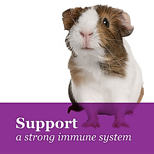 F.M. Brown's Tropical Carnival, Natural Guinea Pig Food, Vitamin-Nutrient Fortified Daily Diet with Vitamin C and High Fiber Alfalfa and Timothy Hay Pellets for Optimum Digestion, 4 lb