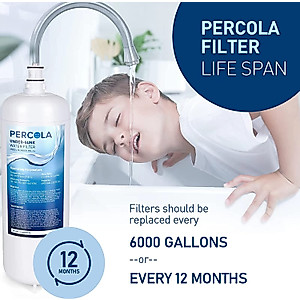 PERCOLA 3MFF101 Under Sink Water Filter, Replacement for Under Sink Full Flow Filtration System 3M Aqua-Pure 3MFF100, 70020249663 6,000 Gallons (1 Pack)