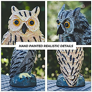 Galashield Owl Decoys to Scare Birds Away | Plastic Owls to Scare Birds Away | Owl Statue for Garden & Outdoors [Set of 2]