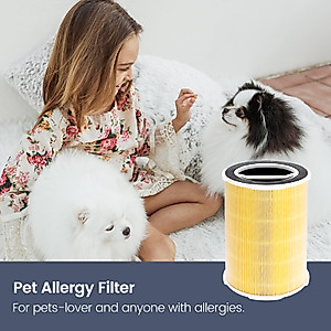 2 Packs Genuine Ganiza G200S/G200 Air Purifier Pet A11ergy Filter, 3-in-1 True H13 HEPA and Activated Carbon Air Filter for Pet Dander, Hair, Pollen, Dust, Pet Odor, G200S/G200-RF