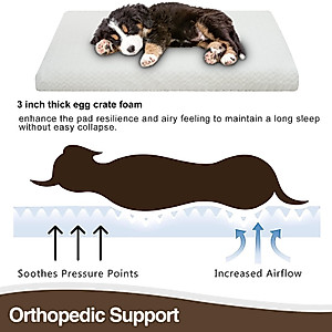 EMPSIGN Dog Bed Crate Pad for Jumbo Dogs, Deluxe Fluffy Plush Machine Washable Dog Mat, Crate Pet Beds with Removable Cover, Dog Sleeping Mat Cushion Bed, 47"x 29"x 3", White