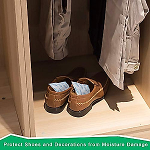 O2frepak 10 Gram(100Packs) Food Grade Moisture Absorbers Silica Gel Packs Desiccant for Storage,Food Safe Dessicant Silica Gel Packets for Moisture Storage Control