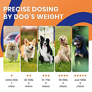 HOOLOO Calming Chews for Dog Anxiety Relief-Natural Puppy Calming Treats Help Manage Stress and Promote Relaxation,Made in USA-120 Chews