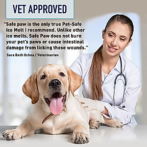 Safe Paw Ice Melt - Pet & Kid Friendly, Salt-Free & Chloride-Free, Safe for Concrete, Driveways & Sidewalks | Long-Lasting & Fast- Snow & Ice Melter for Winter Use - 3X Longer Effect