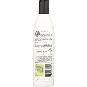 ShiKai Moisturizing Shampoo, 12-Ounces (Pack of 3)