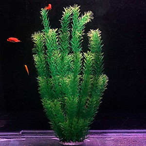 Hamiledyi Aquarium Plants Plastic Decor Fish Tank Green Decorations Plants Ornament Safe for All Fish,Extra Large 23-inch Tall, 2 Pack   