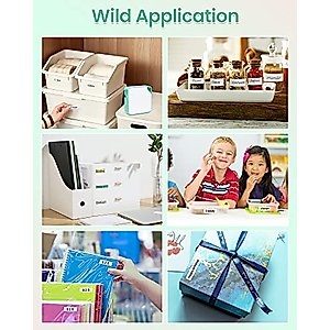 Vixic Label Maker D1600, Small Handheld Bluetooth Label Maker Machine with Tape, Portable Rechargeable Printer for Business Home Office, Multiple Templates Compatible iOS Android, Green Labeler
