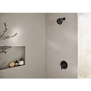 Moen 200W0BL Hydro Energetix Eight-Function 5" Diameter Spray Head Standard, Matte Black