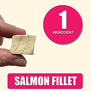 Whole Life Pet Just One Salmon - Cat Treat Or Topper - Human Grade, Freeze Dried, One Ingredient - Protein Rich, Grain Free, Made in The USA