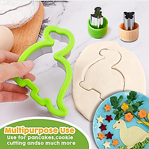 quirzx Dinosaur Sandwich Cutters for Kids, Animal Shapes Mini Vegetable Fruit Cookie Cutters Mold and Food Pick Set for Lunchbox Bento Box - 13 Pcs
