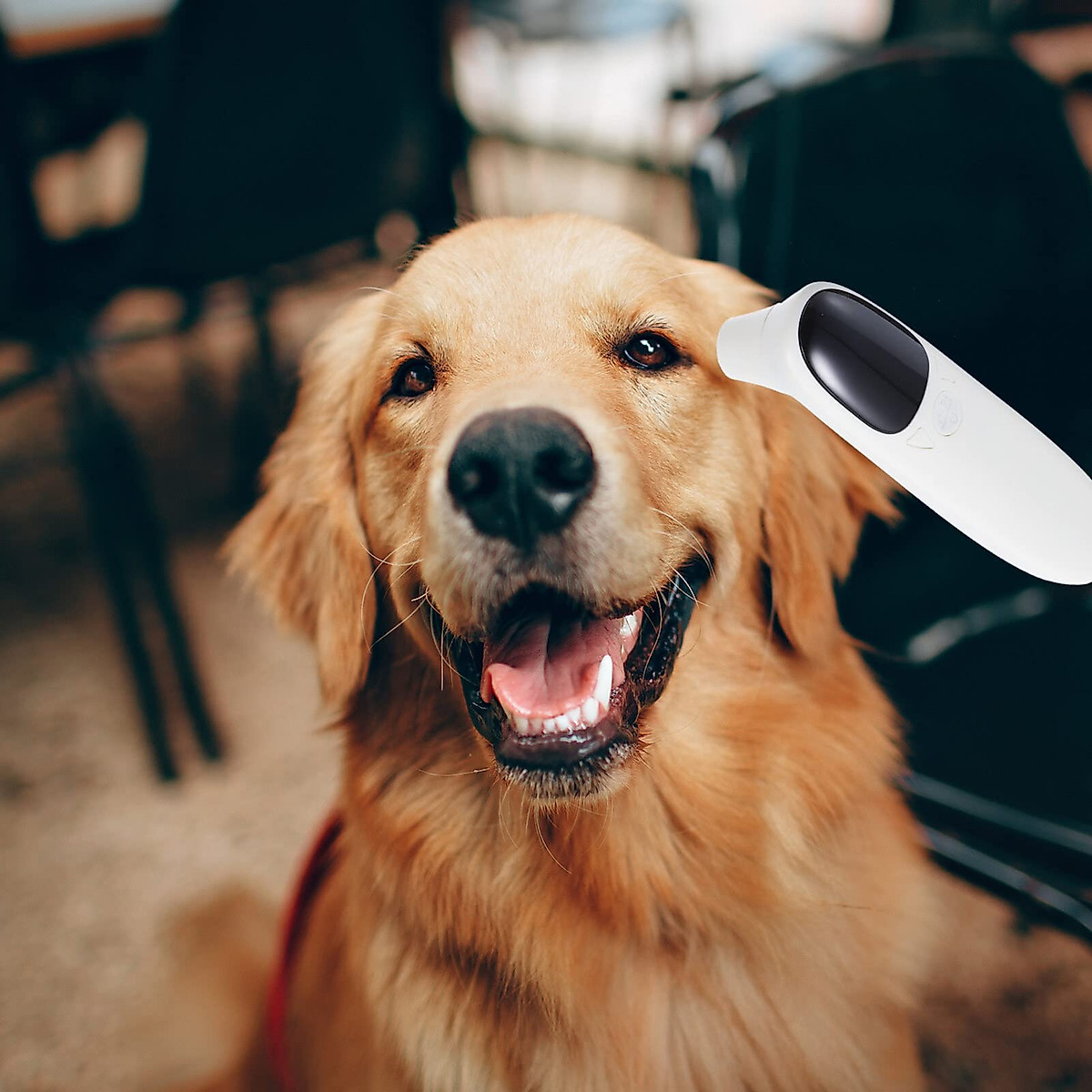 POPETPOP 1 Set of Cat Dog Temperature Detection Rechargeable Non-Contact Pet Ear Temperature Monitor Pet Temperature Measure Device for Puppies Kittens Horse Other Animals