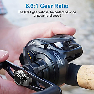 Tempo Vertix LP, High-Tech Innovative Baitcasting Reel, 9 + 1 BB, Low Profile & Lightweight, Powerful & Durable, 6.6:1 Gear Ratio, Great Value