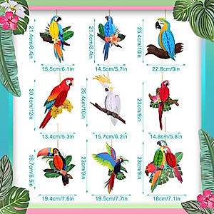 9 Pieces Tropical Birds Honeycomb Paper Cutouts Rio Luau Party Hanging Decorations Rainforest Hanging Paper Birds Hawaiian Summer Parrot Honeycomb Cutouts for Luau Summer Party Decor