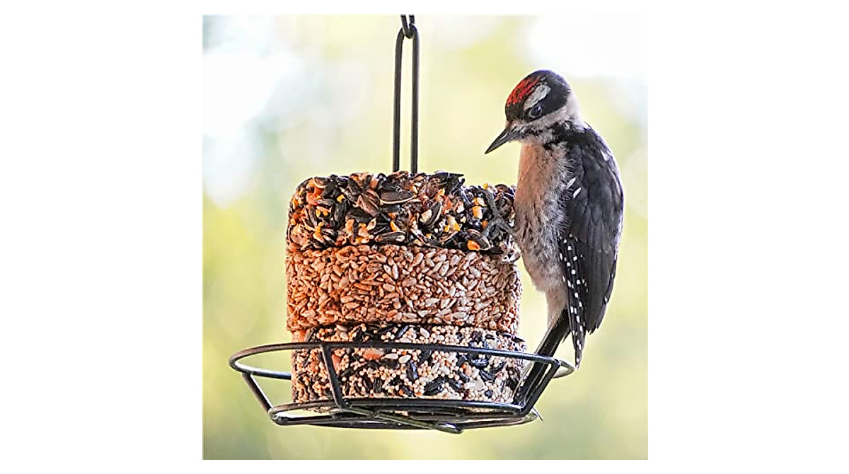 Audubon Park Nut & Fruit Snack Stack Wild Bird Food, Bird Seed Cake for ...