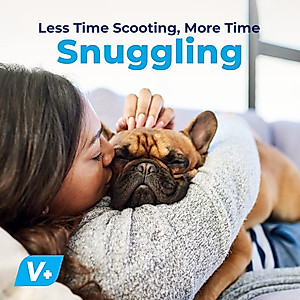 Vetnique Glandex for Dogs 60ct Peanut Butter Anal Gland Support Chews and Glandex Pet Wipes 75ct Bundle