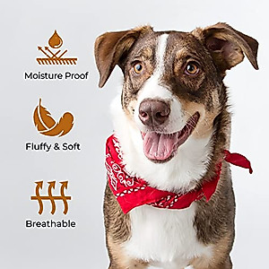 Bowsers Natura Woven Scoop Dog Bed M