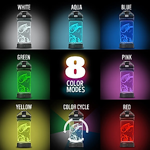 Attivolife Dragon Watter Bottle, 3D Illusion Glowing LED Light with 7 Color Changing Lights - 14 0z BPA Free - Creative Ideal Travel Cup Dinosaur Gift for School Boy Kid Child Holiday Camping Picnic