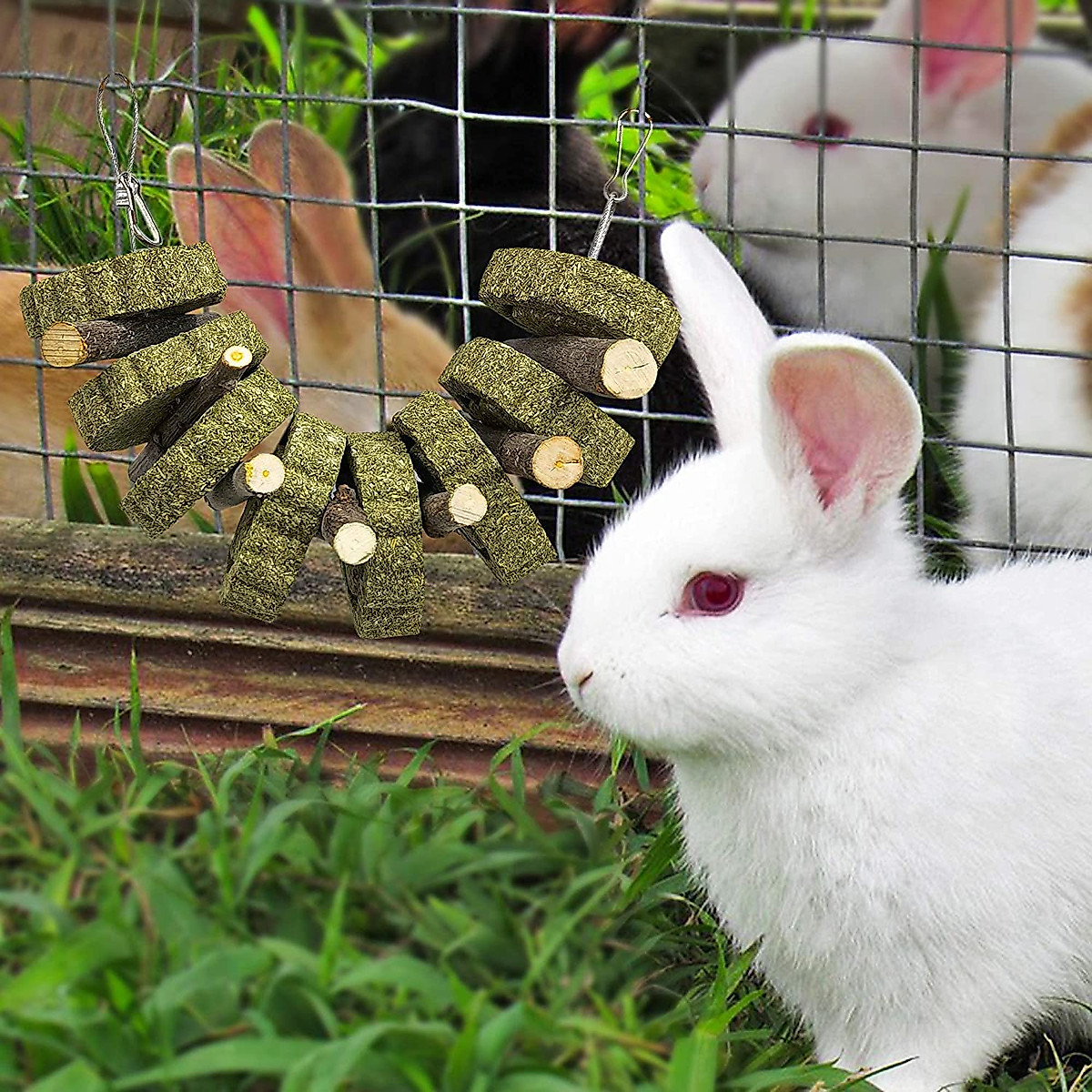 Arespark Pack-2 Rabbit Chew Toys, Organic Bunny Toys Apple Wood Branches/Timothy Hay Straw Cakes, Teeth Grinding Chew Treats for Guinea Pig Hamster Bunny Small Rodent, Juguetes para Conejos