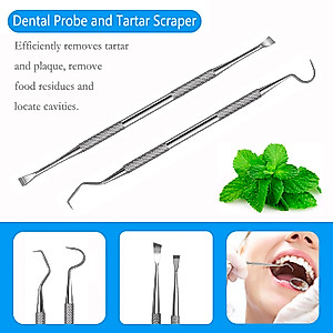 SENLMLER Dental Tools, Professional Plaque Remover Teeth Cleaning Tool Kit, Stainless Steel Dental Pick Tartar Scraper Tooth Cleaner, Oral Care Hygiene Set for Dentist Personal Pets with Storage Box