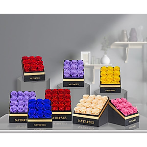 NATROSES Forever Preserved Roses in a Box, 100% Real Roses That Last Up to 3 Years, Flowers for Delivery Prime Birthday, Valentines Day Gifts for Her, Birthday Gifts (Red)