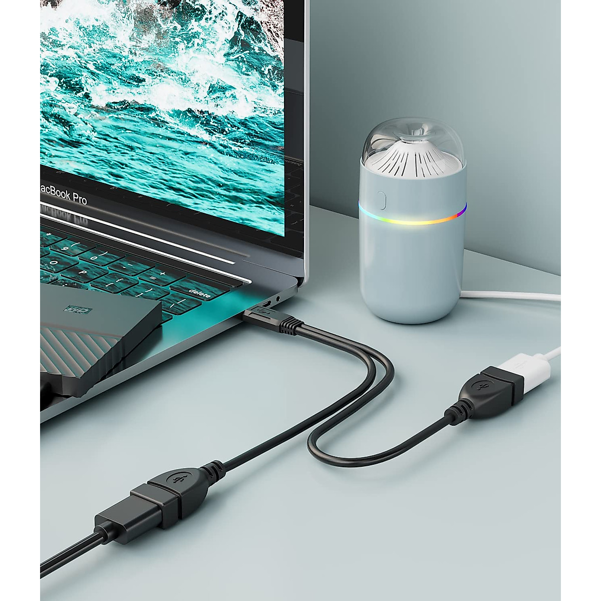 Eanetf USB Cable, 2-Port USB 2.0 Male to Female Splitter, High-Speed Charging & Data Transfer for Laptop, Car, Mac, TV, PC, Xbox, HDD