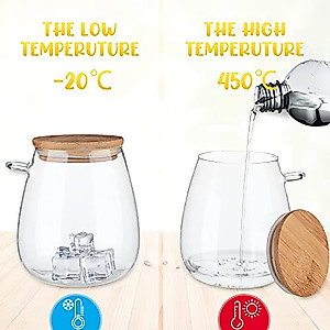 Hoolerry Set of 2 Airtight Glass Jars with Bamboo Lids and Spoons 34 oz Borosilicate Glass Canisters Overnight Oats Jar Storage Container for Kitchen Coffee Bean Tea Leaves Flour Sugar