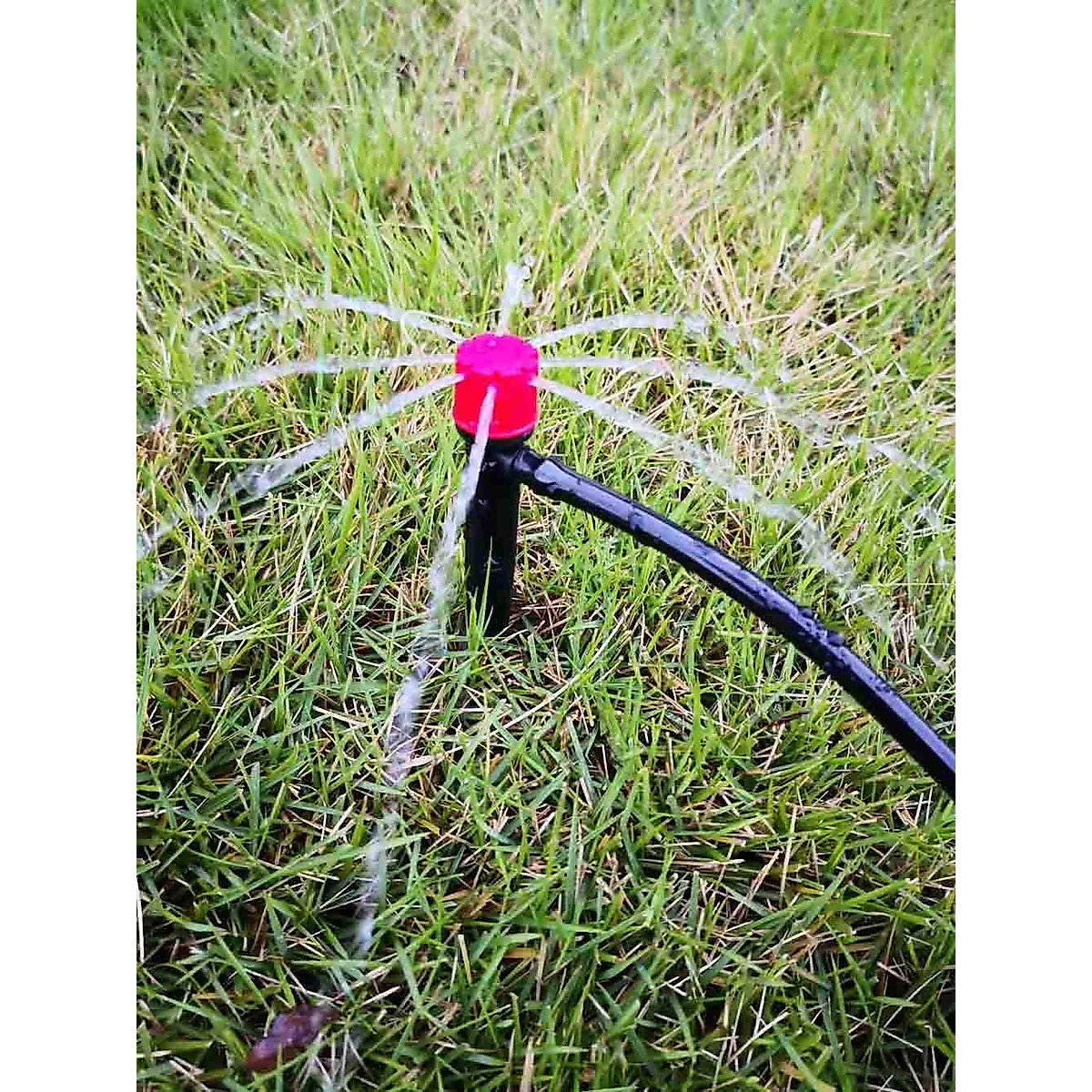 ZILIM 50PCS Drip Emitters Sprayer with 8 Hole, 360 Degree Dripper Perfect for Irrigation System Watering Kits, Adjustable for 1/4inch(7 x 4mm) Irrigation Tube Hose, Garden Patio Lawn Flower Bed