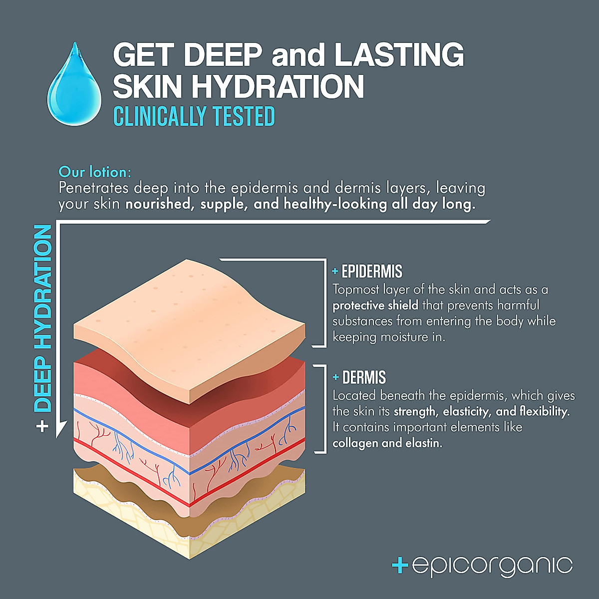 Epic Organicum Mens Face Cream | Anti Aging & Hydrating Face Moisturizer | Hyaluronic Acid, Collagen & Vitamin E Cream | Men's Skin Care | Moisturizer Face Cream | 8oz